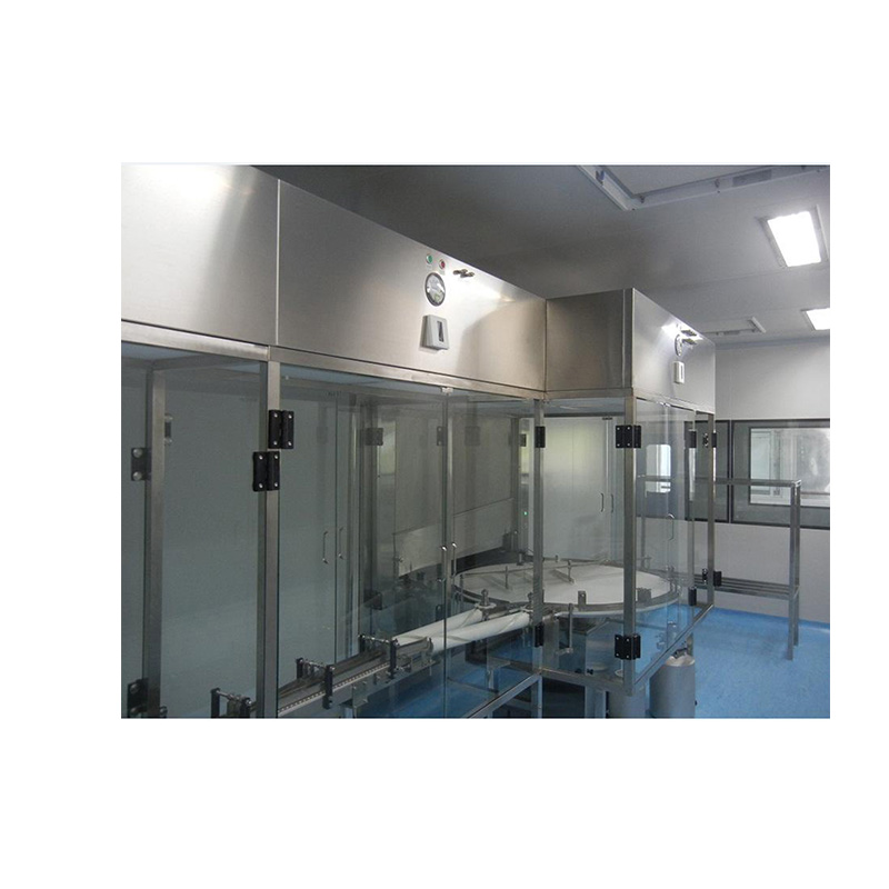 Clean room Laminar flow hood with PAO test Clean Bench
